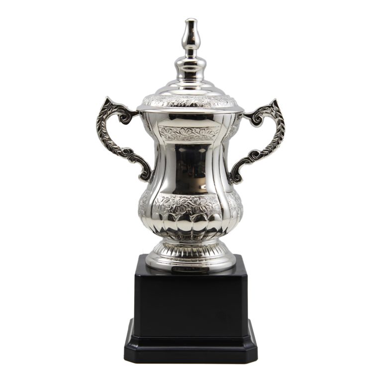The Football Cup | Premier Trophies
