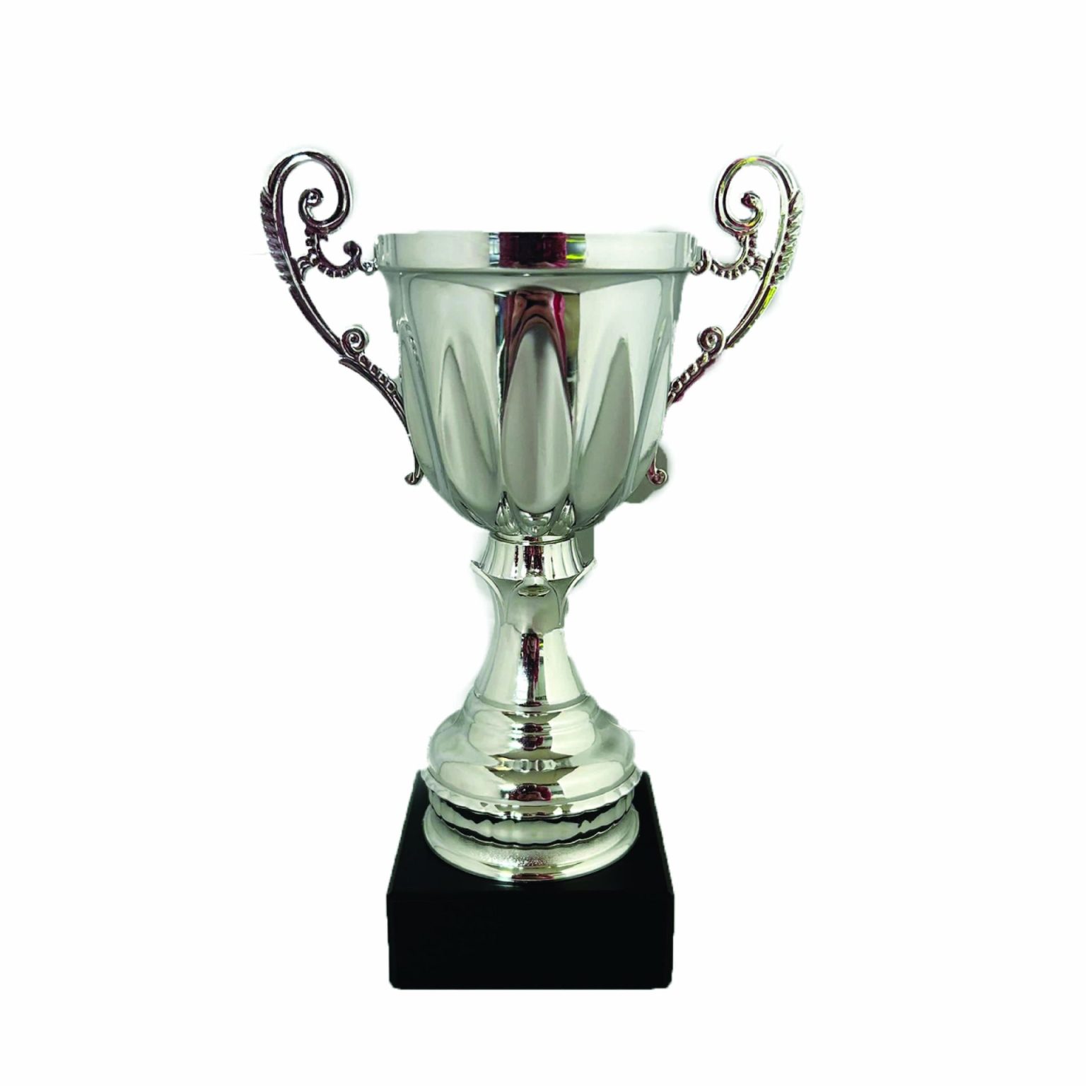 Devonia Cup | Premier Trophies