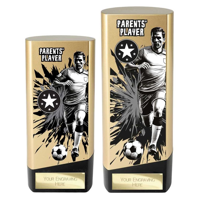 Prime Heavyweight Parents Player Gold & Black | Premier Trophies
