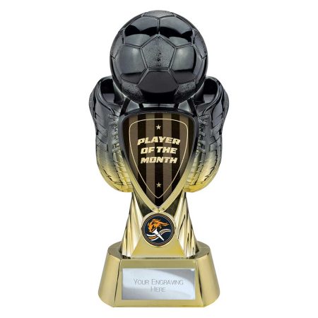 Tournament Football Heavyweight Player of the Month Gold & Black ...