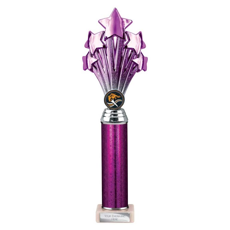 5 Star Multisport Tube Silver & Purple | Premier Trophies