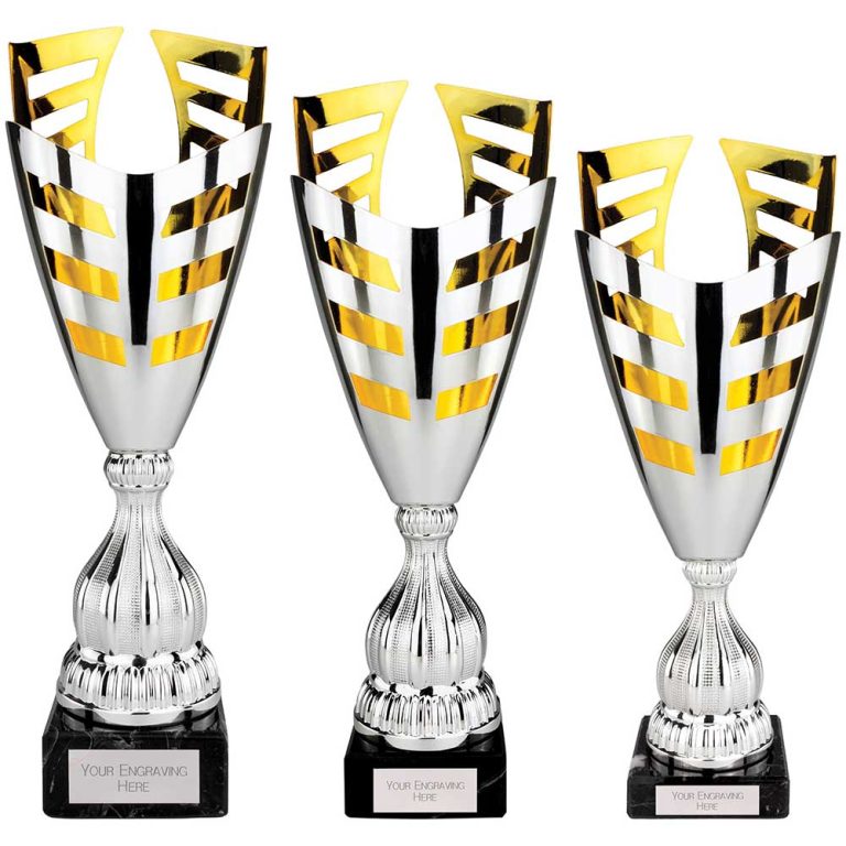 Paramount Laser Silver & Gold Trophy | Premier Trophies
